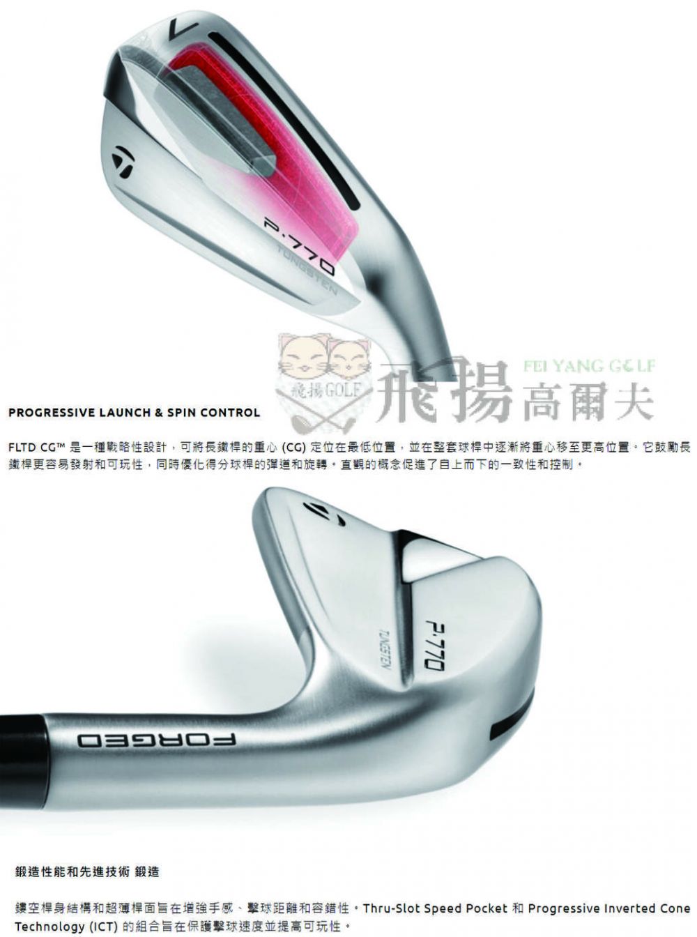 【飛揚高爾夫】'23 TaylorMade P770 Forged 鐵桿#4-P,鐵身 DG Tour Issue EX(日規),鐵桿,高爾夫球桿 - 飛揚高爾夫